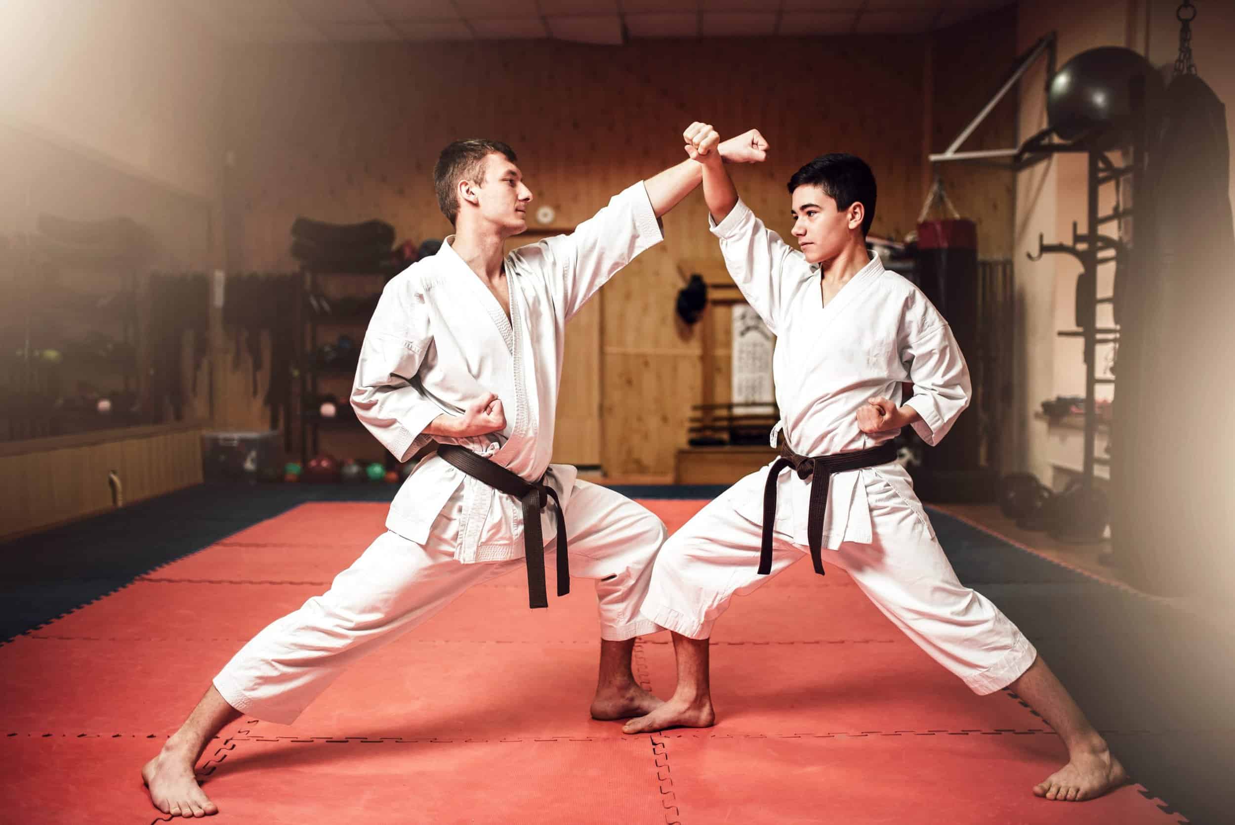 Top 15 Must-Watch Jiu-Jitsu Movies for Martial Arts Fans - Bad Attitudes