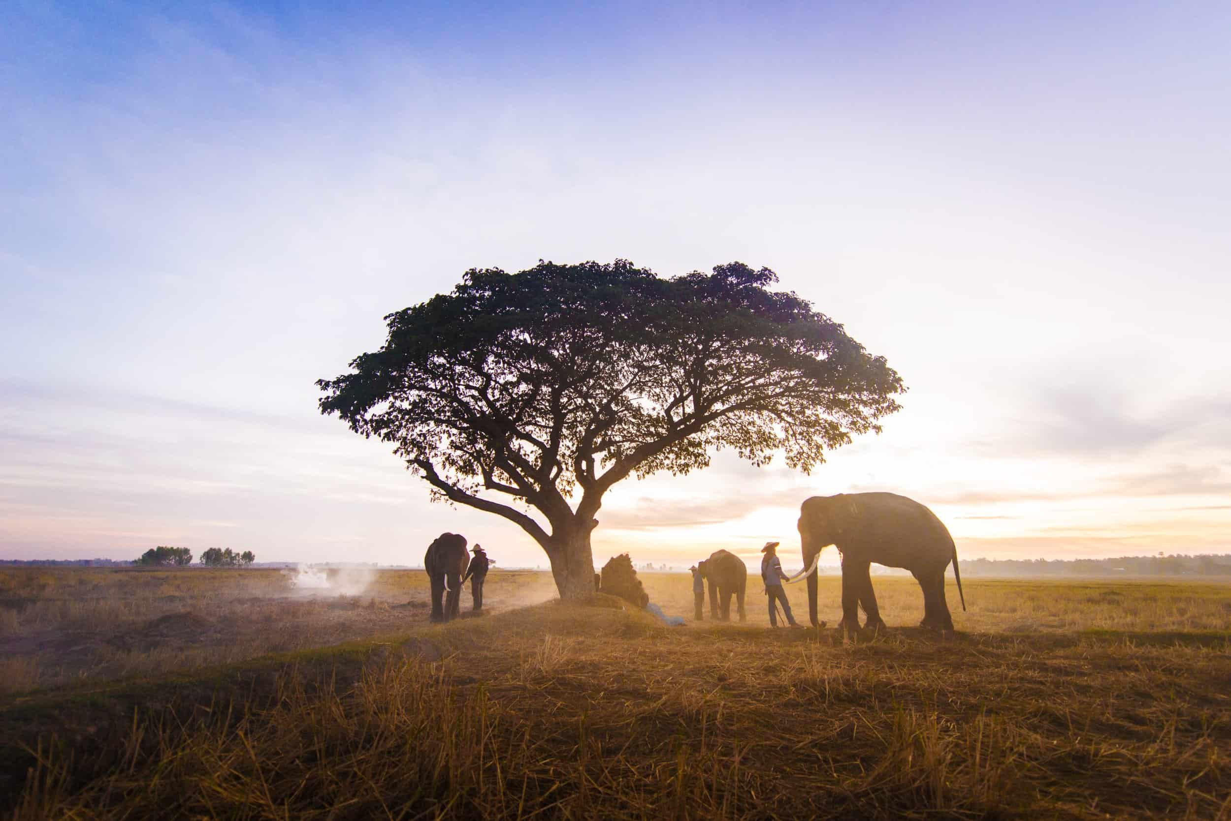 32 Inspirational Quotes to Spark Your Love for the Environment - Bad ...