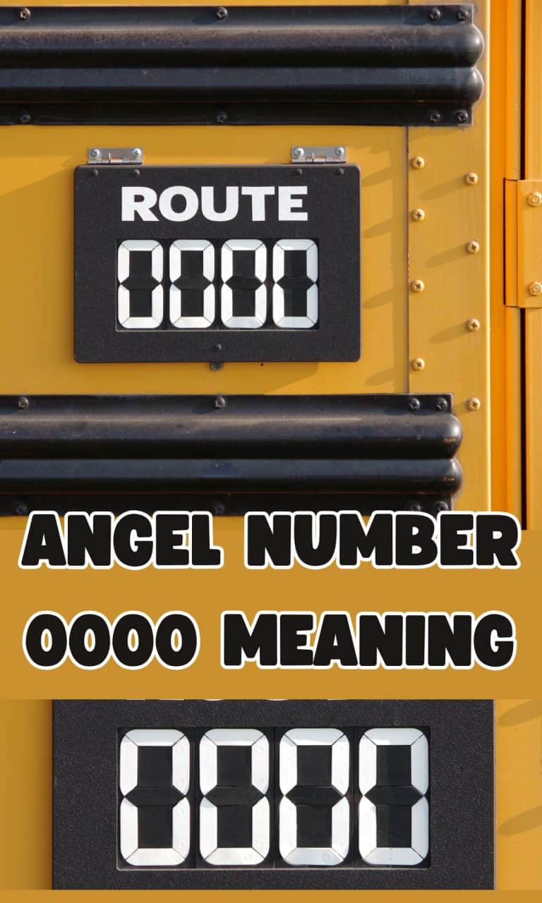 Angel Number 0000 Meaning: A Full-Circle Wake-Up Call from the Universe ...